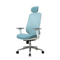 China Infinity Ergonomic Home Office Chair Blue 330 Polished Ergo Mesh Seat Desk Chair for sale