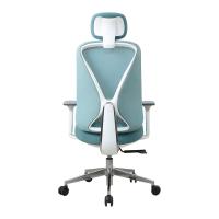 China Infinity Ergonomic Home Office Chair Blue 330 Polished Ergo Mesh Seat Desk Chair for sale