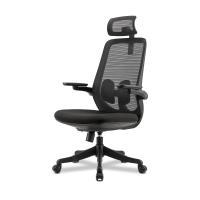 China Mid Back Ergonomic Office Chair With Adjustable Headrest 850 KG Load for sale