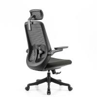 China Commercial Ergonomic Office Chair Lumbar Support Detachable BIFMA Standard for sale