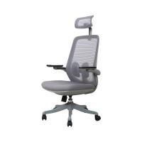 China PA6 GF30 Ergonomic Desk Chair Ergo Smooth Comfortable Stylish Office Chair for sale