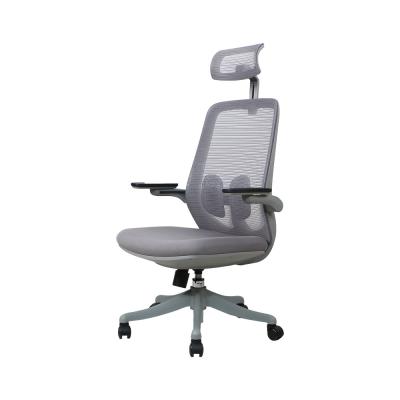 China PA6 GF30 Ergonomic Desk Chair Ergo Smooth Comfortable Stylish Office Chair for sale