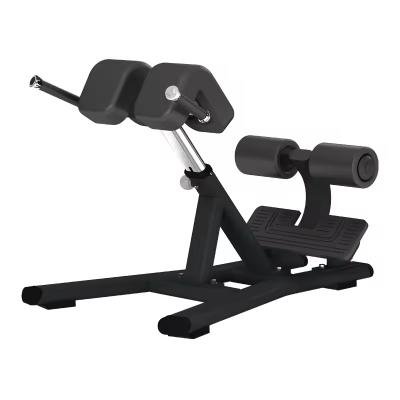 China Wholesale Sports Machine Fitness Equipment Extension Bench Hyper Bench Roman Bench for sale