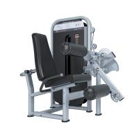 China 2023 Hot Selling Leg Flexion and Extension Trainer Gym Special Equipment Leg Flexion and Extension Curl for sale