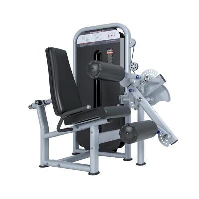 China 2023 Hot Selling Leg Flexion and Extension Trainer Gym Special Equipment Leg Flexion and Extension Curl for sale