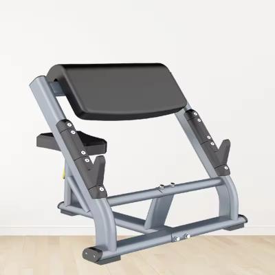 China Professional Commercial Gym Fitness Equipment Fitness Seated Preacher Curl Preacher Bench for sale