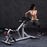 China Factory Direct Sales of High Quality Professional Business Bench Goat Elastic Home Back Waist Multi-functional Fitness Equipment for sale