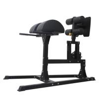China Fitness Equipment Strength Equipment Flat Roman Chair Back Trainer Commercial Machine for sale