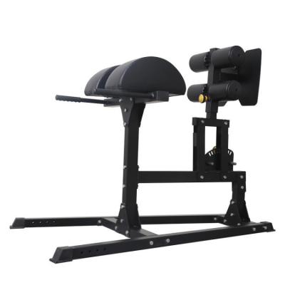 China Fitness Equipment Strength Equipment Flat Roman Chair Back Trainer Commercial Machine for sale
