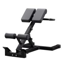 China Multi-Functional Sit-Up Board Fitness Equipment Home Gym Foldable Roman Chair for sale