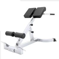 China Multi-function Fitness Equipment Home Gym Sit-up Abdominal Curl Training Equipment Bench Roman Chair for sale