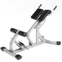 China Roman Chair With Multi-Functional Bench Commercial Fitness Bench Rome Chair Goat Back Extender Sit-Up Trainer for sale
