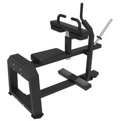 China Factory Direct Sales of High Quality Commercial Gym Fitness Equipment Flat Mounted Sitting Calf Raiser Exercise Function Trainer for sale