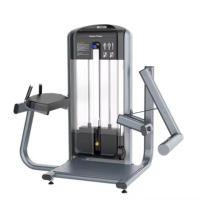 China Fitness Equipment Strength Training Commercial Body Building Leg Press  Multi-Purpose Bench Vertical Knee up Little Flying Bird for sale