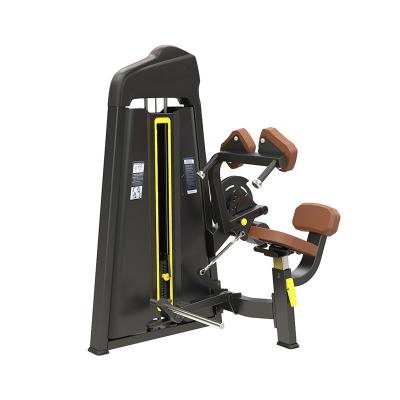 China Commercial Abdominal Isolator Machine - Professional Core Trainer for Gym & Fitness Studio, Wholesale for sale