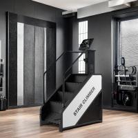 China Stair Master Vertical Stepping Commercial Fitness Gym Uses the Exercise Stair Master Climberair Stepper for sale