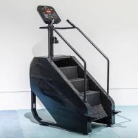 China Commercial Home Gym Fitness Equipment Master Stairclimber Cardio Stair Stepper Climbing Machine Stair Climber Machine for sale