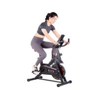 China Hot Sale Cardio Flywheel Spinning Bike Gym Equipment for Resistance Exercise and Muscle Building Indoor Fitting Room Exercise for sale