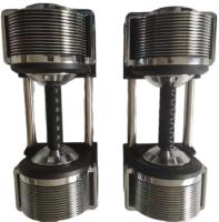China Factory Price Carbon Steel Weight Lifting Dumbbell Home Gym Equipment 32kg 71LB Adjustable Dumbbell Set for sale