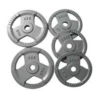China New Gym Strength Training Cast Iron Handle Grip 25kg Weight Plates for sale