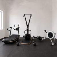 China Customizable Commercial Gym Equipment Set with Low MOQ and 2-Year Warranty for Strength and Cardio Training for sale