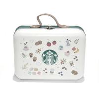 China 0.23mm Tinplate Storage Metal Tin Box With Carrying Handle And Lock for sale