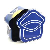 China House Shaped Tin Box Decorative Tin Containers With Seperate Lid for sale
