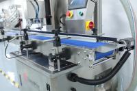 China Auto Gear Pump Cream Lotion Filling Machine Shower Gel Filler for sale