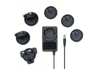 China 24W Swappable Power Adapter 12V 2A 9V 2A Output for CCTV WiFi Routers for sale