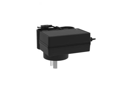China 36W Max Power Adapter 15V 2.4A 48V 0.75A for Portable Monitors and PoE Network Devices for sale