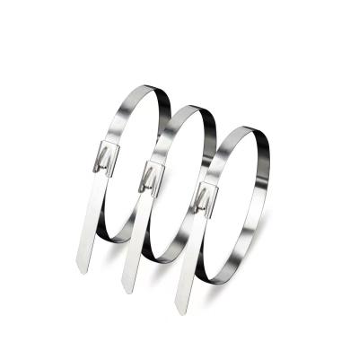 China Customizable 304 Stainless Steel Cable Ties Self Locking Flame Retardant for sale