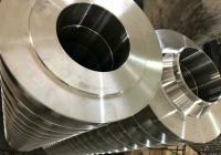 China AMSE 16.5 Nickel Alloy Blind Pipe Flanges Forging Ring Disc Sleeves Oil Rusted Hastelloy C2000 FF for sale