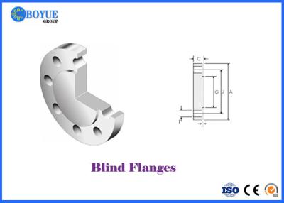 China Forged Nickel 200 W.Nr.2.4066 N02200 Blind Pipe Flanges 150LB-1500LB DIN,ANSI,ASME,JIS,GB for sale