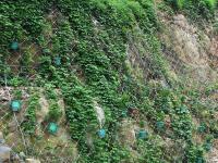 China Diamond Hole Rockfall Protection Netting Barrier ISO 14001 Certification for sale