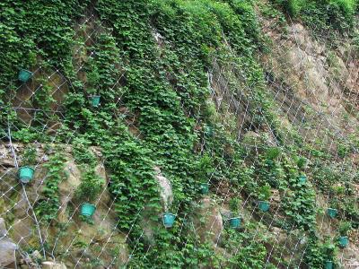 China Diamond Hole Rockfall Protection Netting Barrier ISO 14001 Certification for sale