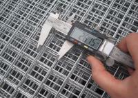 China Hot Dipped Galvanized Welded Wire Mesh Panels For Mink Cage for sale