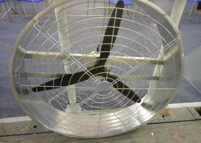China PVC Powder Coated Fan Guard Grill Stainless Steel 40mm to 300mm Cooling Fan for sale
