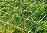 China Hot Dipped Galvanized Spiral Wire Mesh , Rockfall Wire Rope Mesh Netting for sale