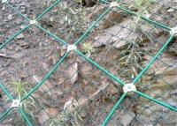 China 2.0mm 2.2mm Rock Fall Protection Mesh Green Rock Fall Barrier for sale