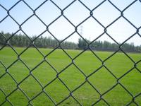 China PVC Coated Chain Link Fence 5m-25m Rolls 40mm-100mm Mesh Hot Sale for sale
