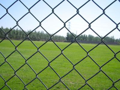 China PVC Coated Chain Link Fence 5m-25m Rolls 40mm-100mm Mesh Hot Sale for sale
