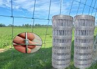 China Hot Dip Galvanized Steel Field Fencing 2.5mm Wire 280mm Roll Diameter Grassland Farm Fence for sale