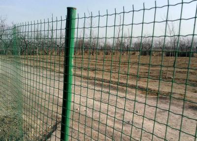 China PVC Coated Holland Wire Mesh Fence 2.5m Length 5x12cm Opening for Livestock Farm for sale