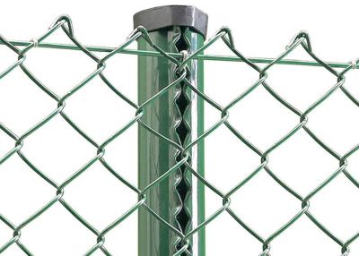 China PVC Coated Chain Link Mesh Fence 50x50mm Diamond Security Fence for Pool Airport for sale