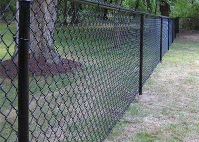 China Green PVC Coated Hot Dipped Galvanized Chain Link Fence 50mm Mesh 1.0-6.0mm Wire for School Pool for sale