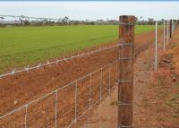 China Hot Dipped Galvanized 2 Strand Barbed Wire Fence for Cattle Farm Security 12x12 Gauge for sale