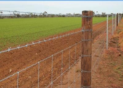 China Hot Dipped Galvanized 2 Strand Barbed Wire Fence for Cattle Farm Security 12x12 Gauge for sale