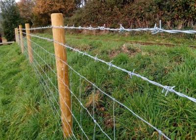 China Security Barbed Wire Fence PVC Coated For Farm / Prison for sale