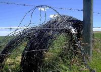 China High Tension Barbed Wire Fence Silver Green Color 1.5-3cm Barb Length 7.5-15cm Spacing for Military for sale