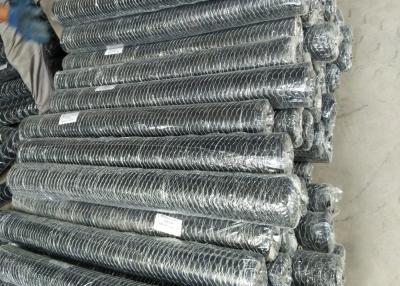 China 1.0mm Chicken Hexagonal Wire Mesh / Chicken Wire Netting Fence for sale